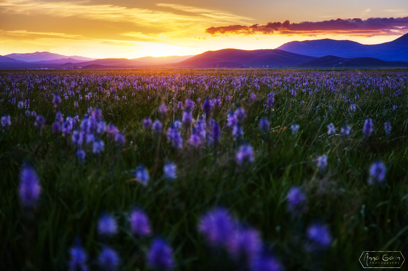 Landscapes :: Anna Gorin Photography, Boise, Idaho