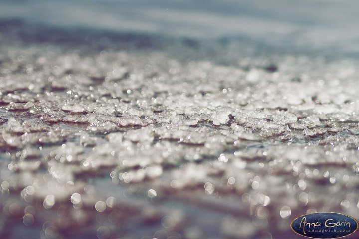 Nature :: Galleries :: Anna Gorin Photography, Boise, Idaho